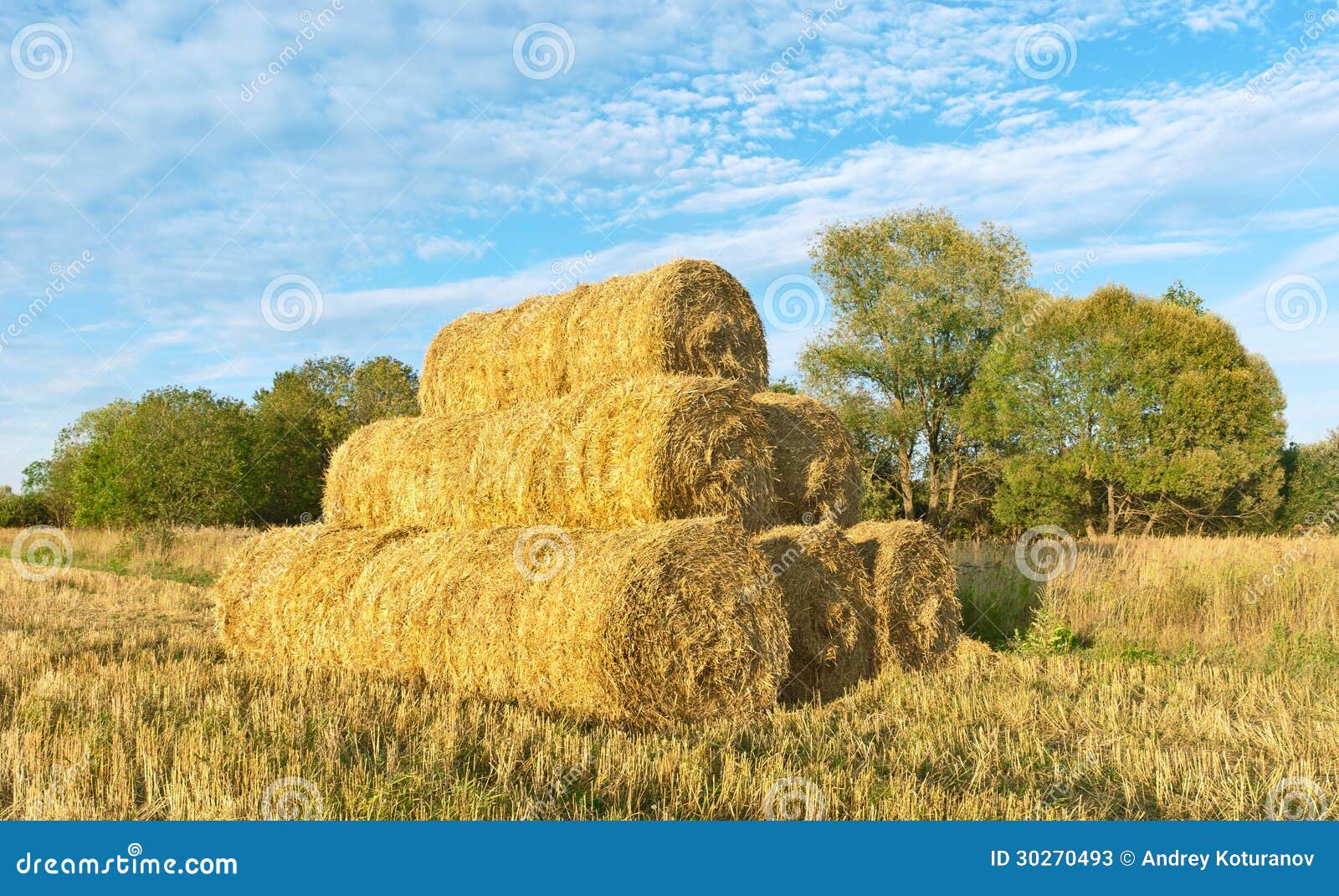 Straw stack stock image. Image of landscape, country - 30270493