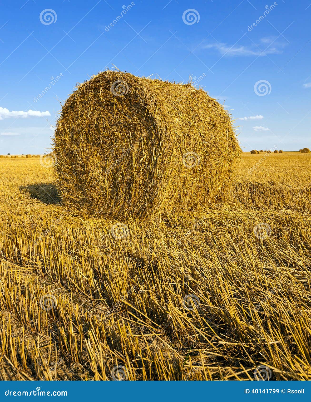 Straw stack stock image. Image of life, barbed, haystack - 40141799