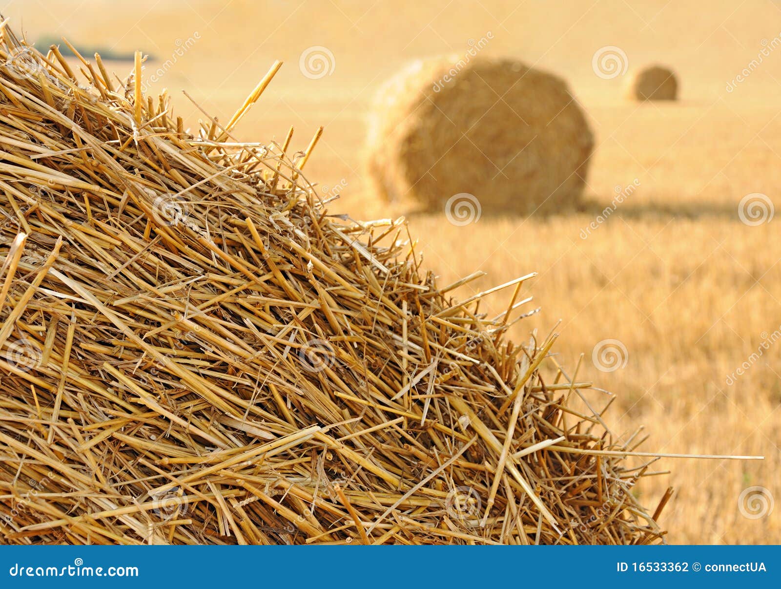 Straw stacks stock photo. Image of structure, straw, hayrick - 16533362