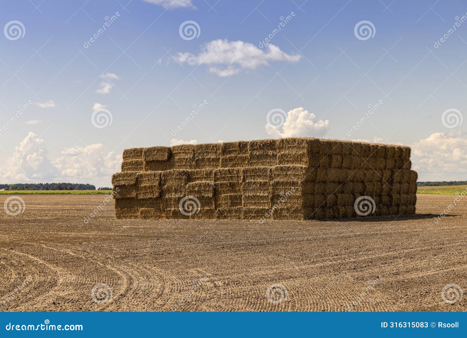 Straw Stacks in the Field after the Grain Harvest Stock Image - Image ...