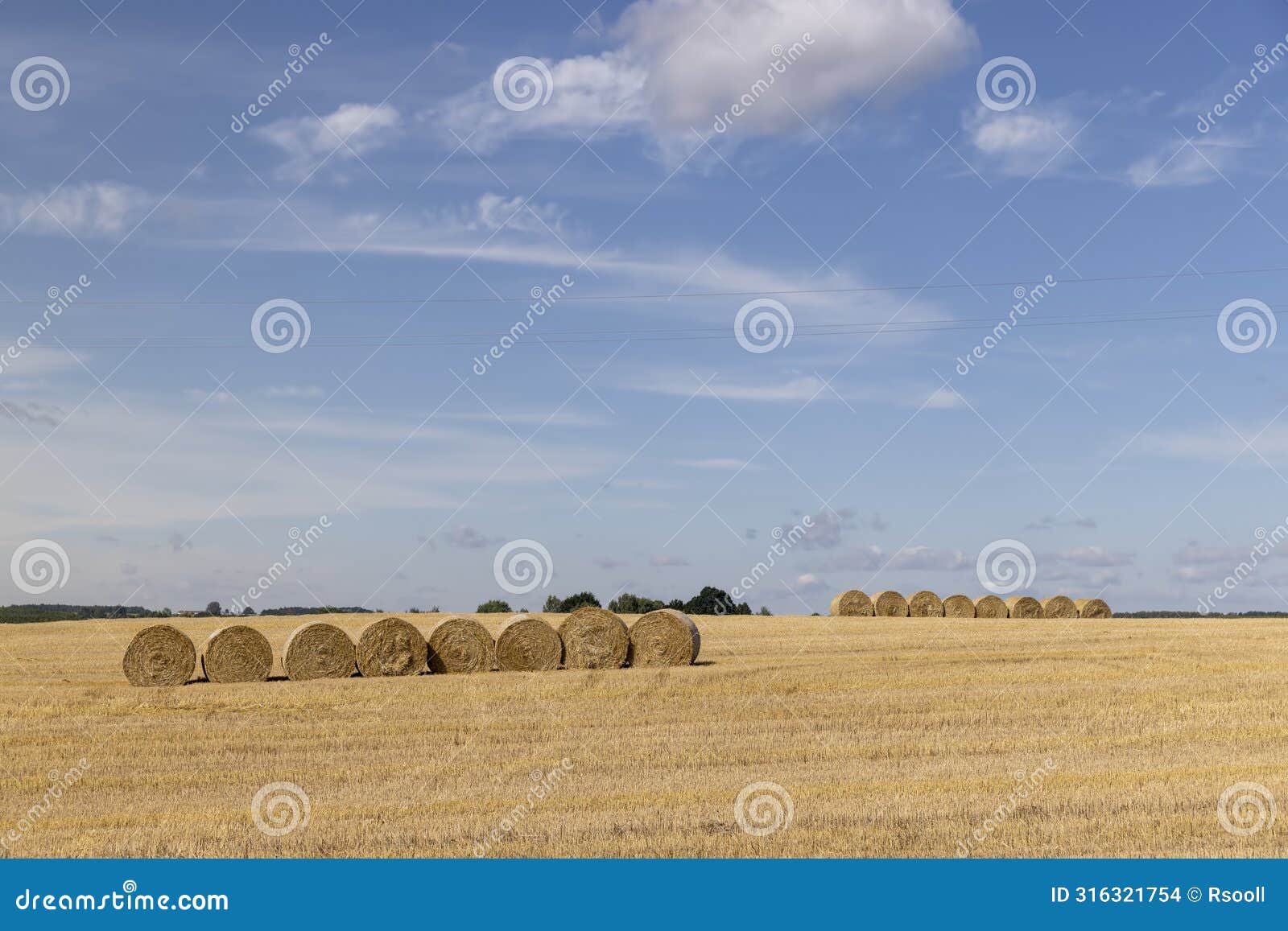 Straw Stacks in the Field after the Grain Harvest Stock Photo - Image ...