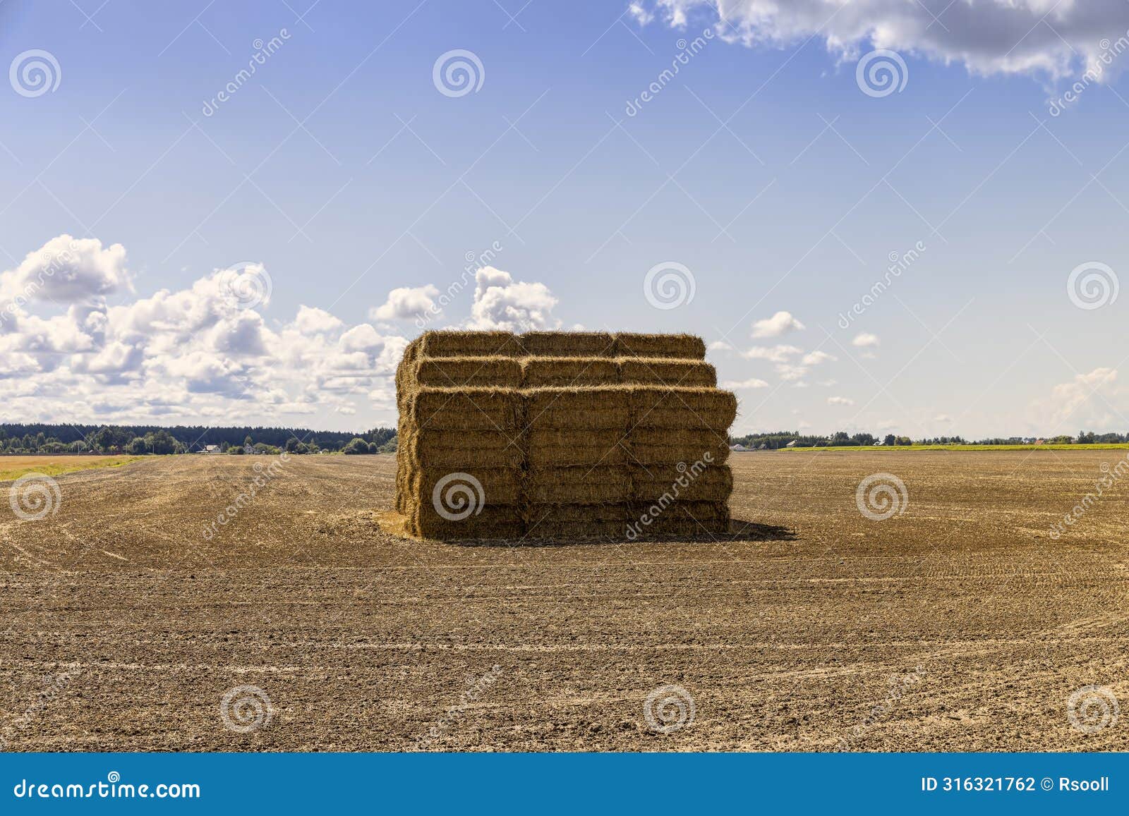 Straw Stacks in the Field after the Grain Harvest Stock Photo - Image ...
