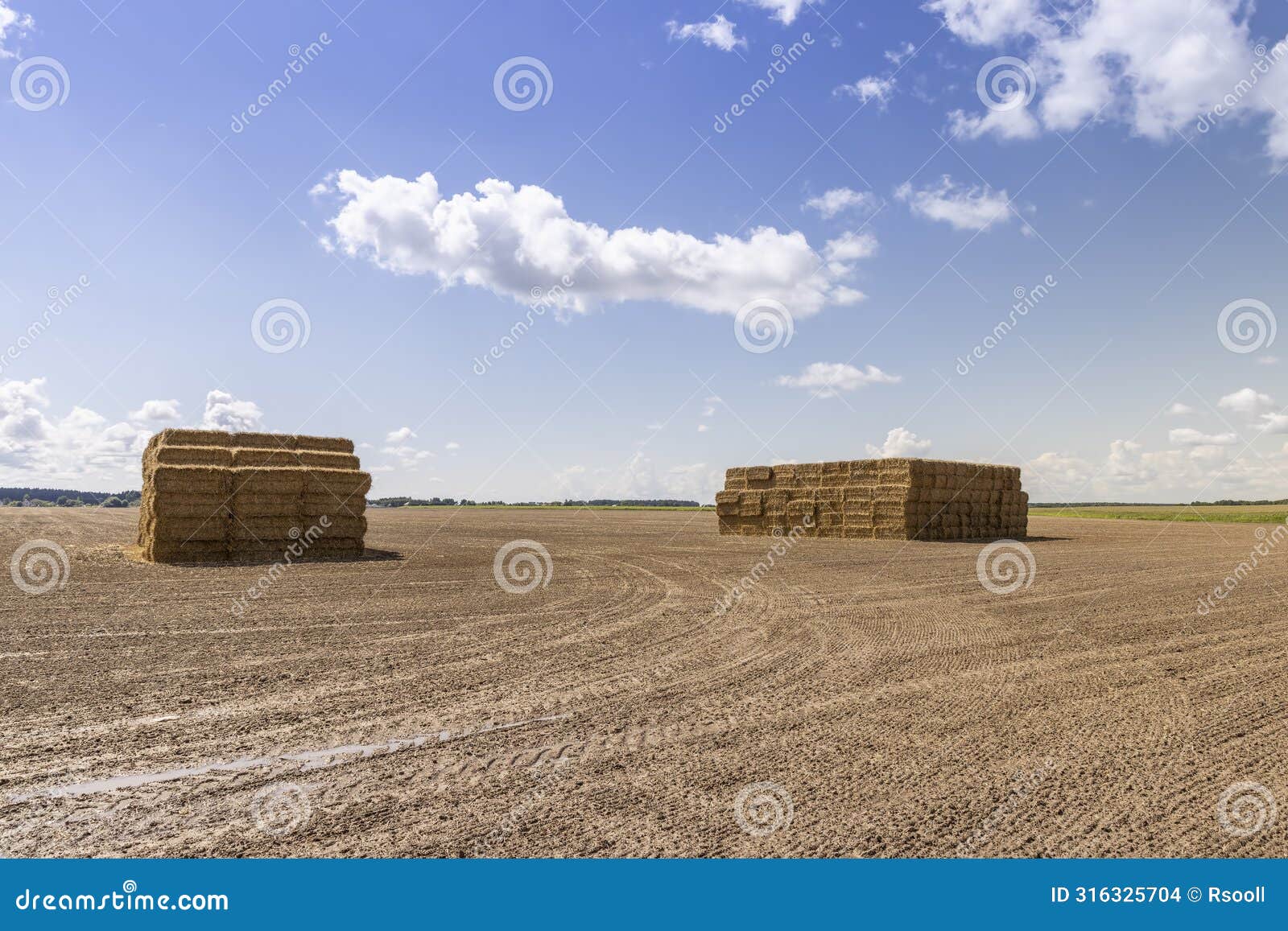 Straw Stacks in the Field after the Grain Harvest Stock Photo - Image ...