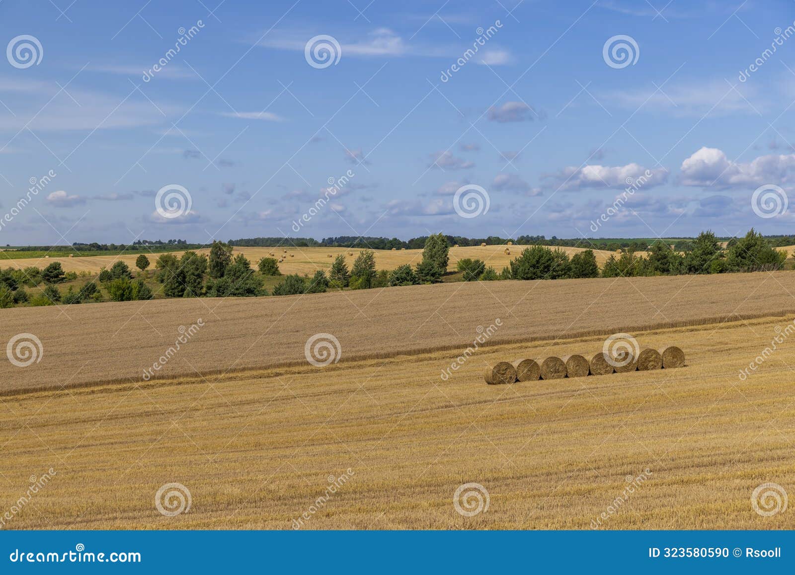 Straw Stacks in the Field after the Grain Harvest Stock Photo - Image ...