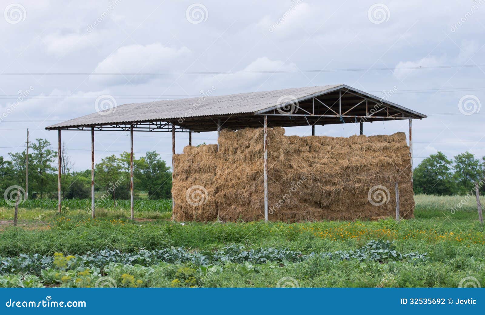 Straw storage stock photo. Image of agriculture, feed - 32535692