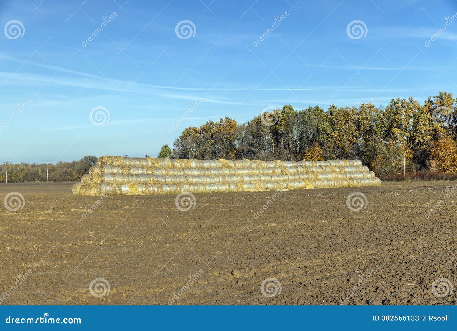 Straw Storage in Stacks on the Field Stock Image - Image of crop ...
