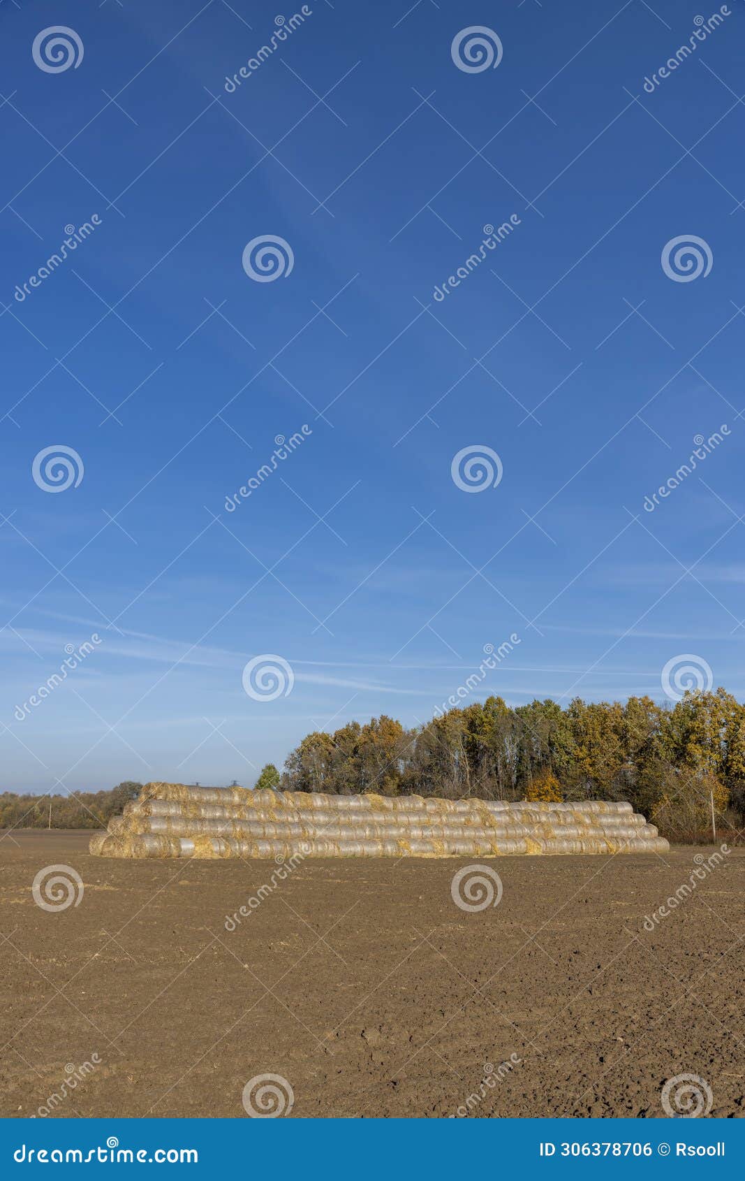 Straw Storage in Stacks on the Field Stock Photo - Image of golden ...