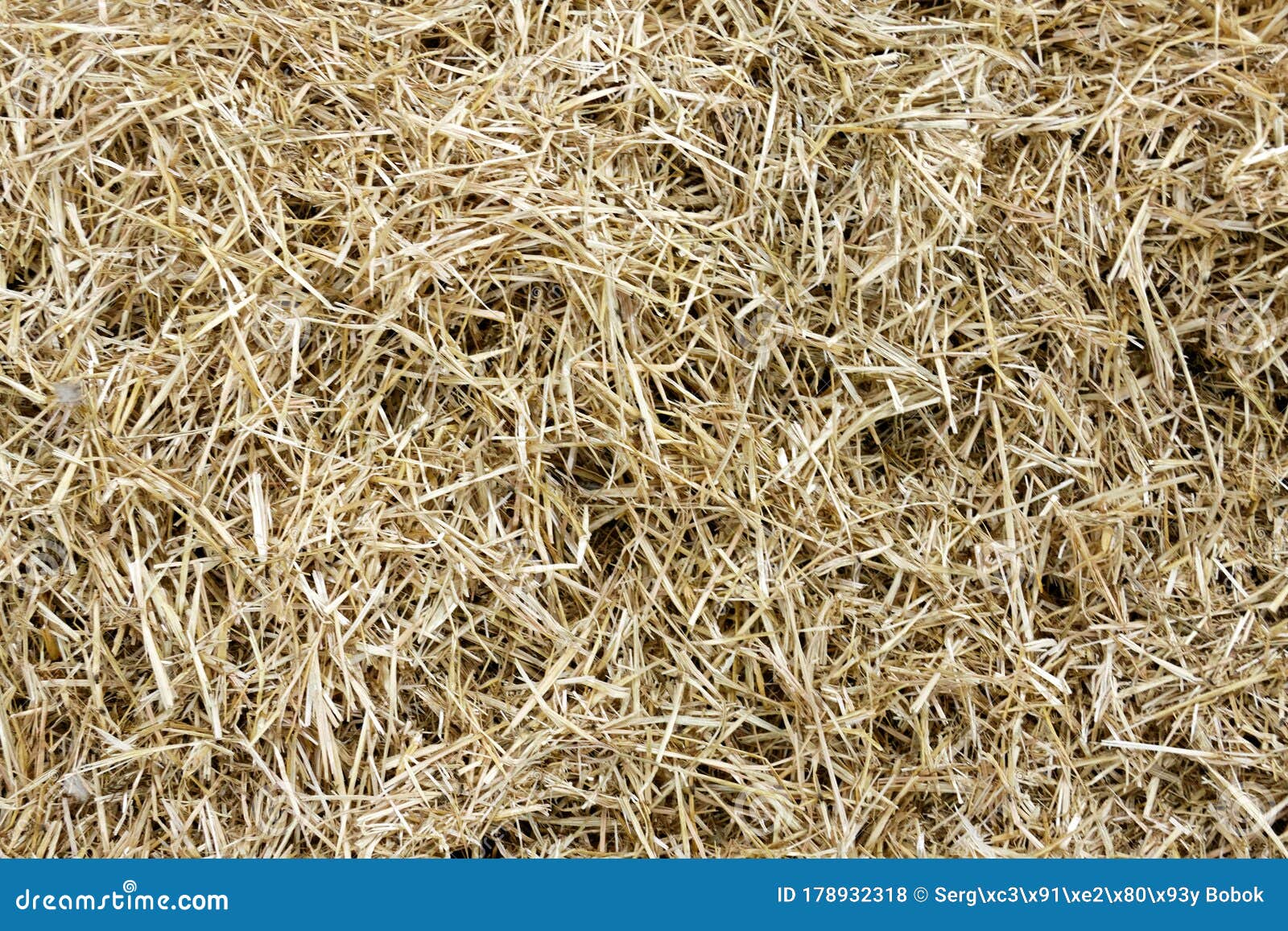 Straw, Hay Background Texture Stock Photo - Image of brown, farming ...