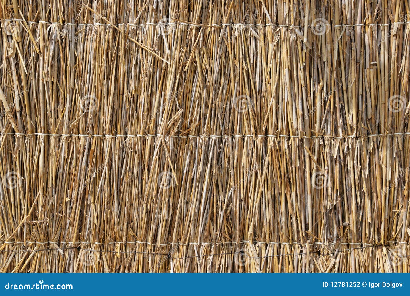 Straw texture stock photo. Image of reed, stem, national - 12781252