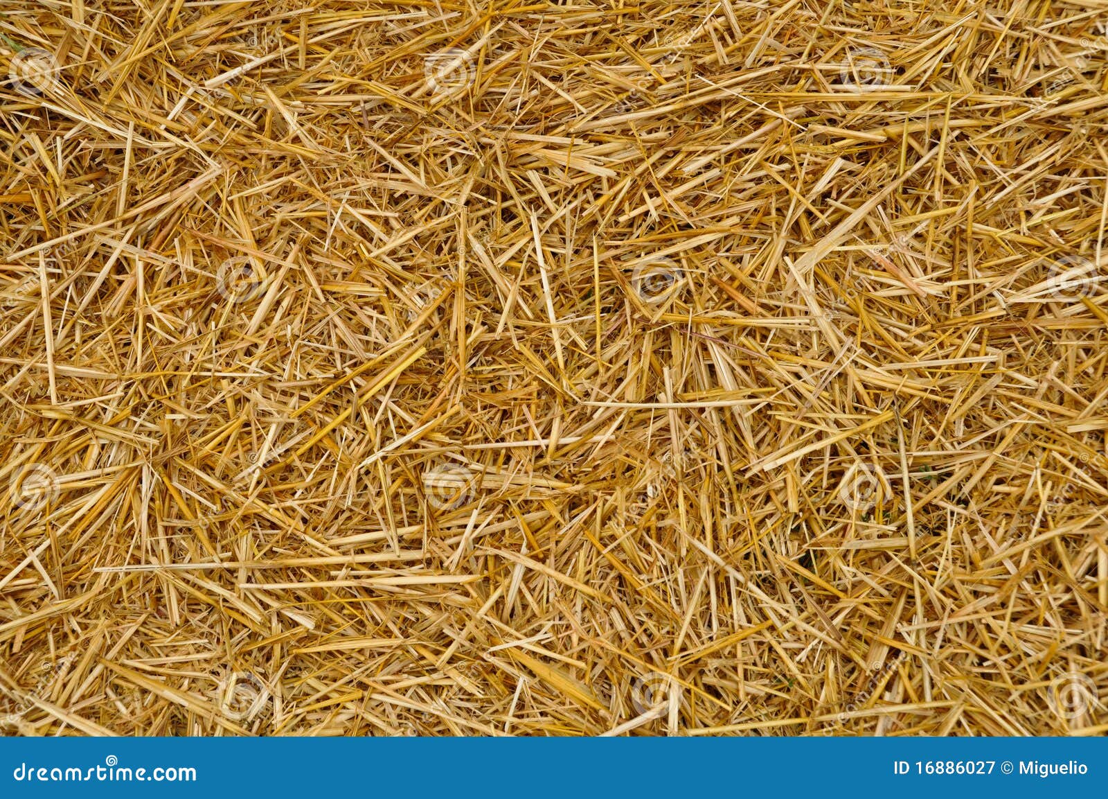 Straw texture stock image. Image of natural, hayrick - 16886027