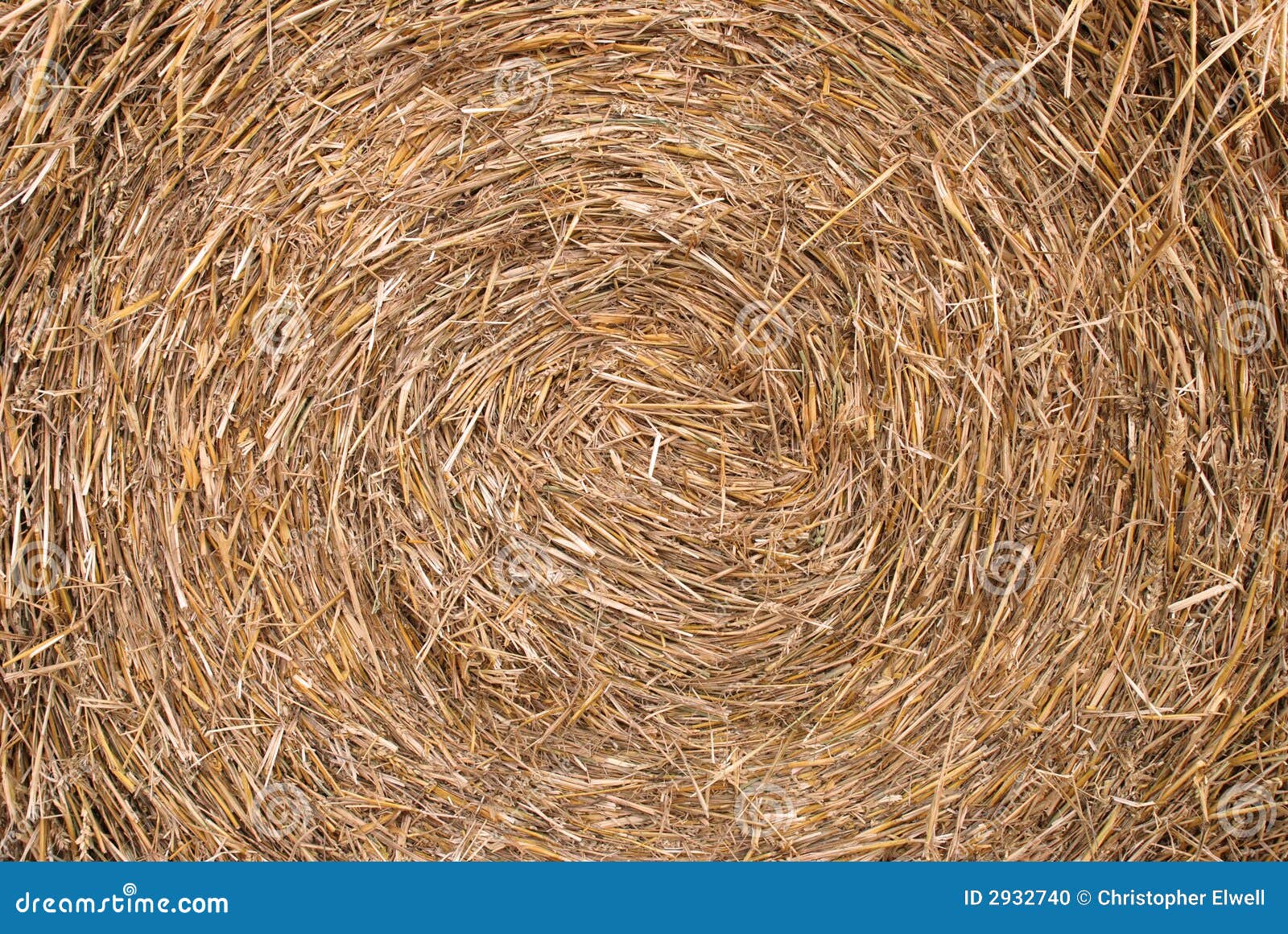 Straw texture stock photo. Image of wheat, grass, macro - 2932740