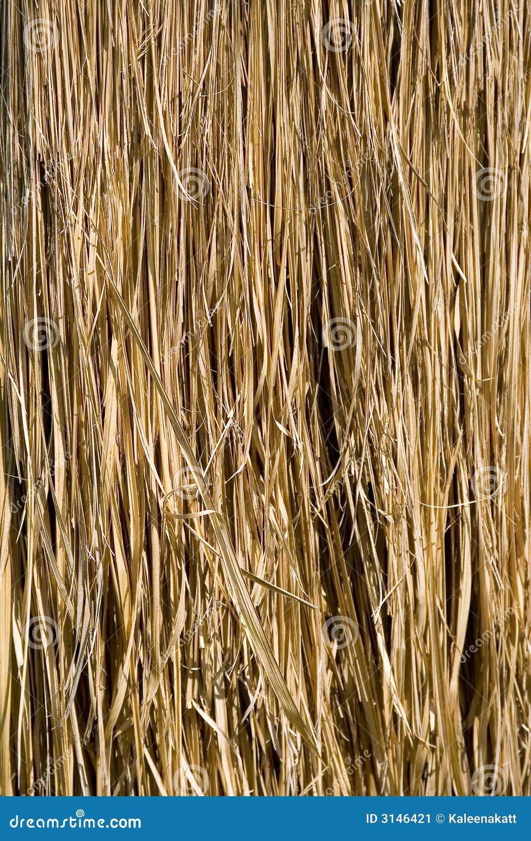 Straw Texture stock image. Image of stalk, closeup, countryside - 3146421