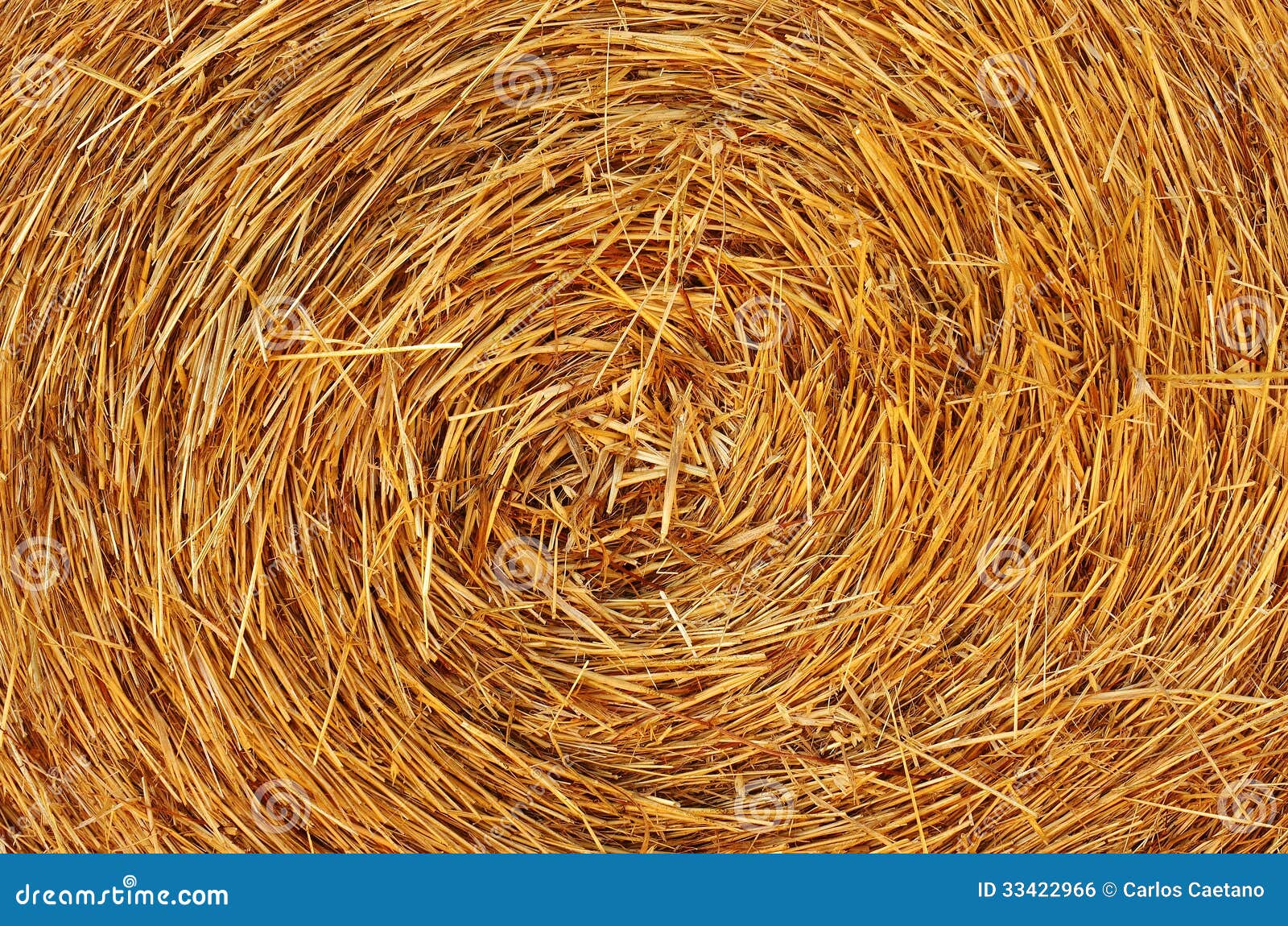 Straw Texture fotografia stock. Immagine di frumento - 33422966