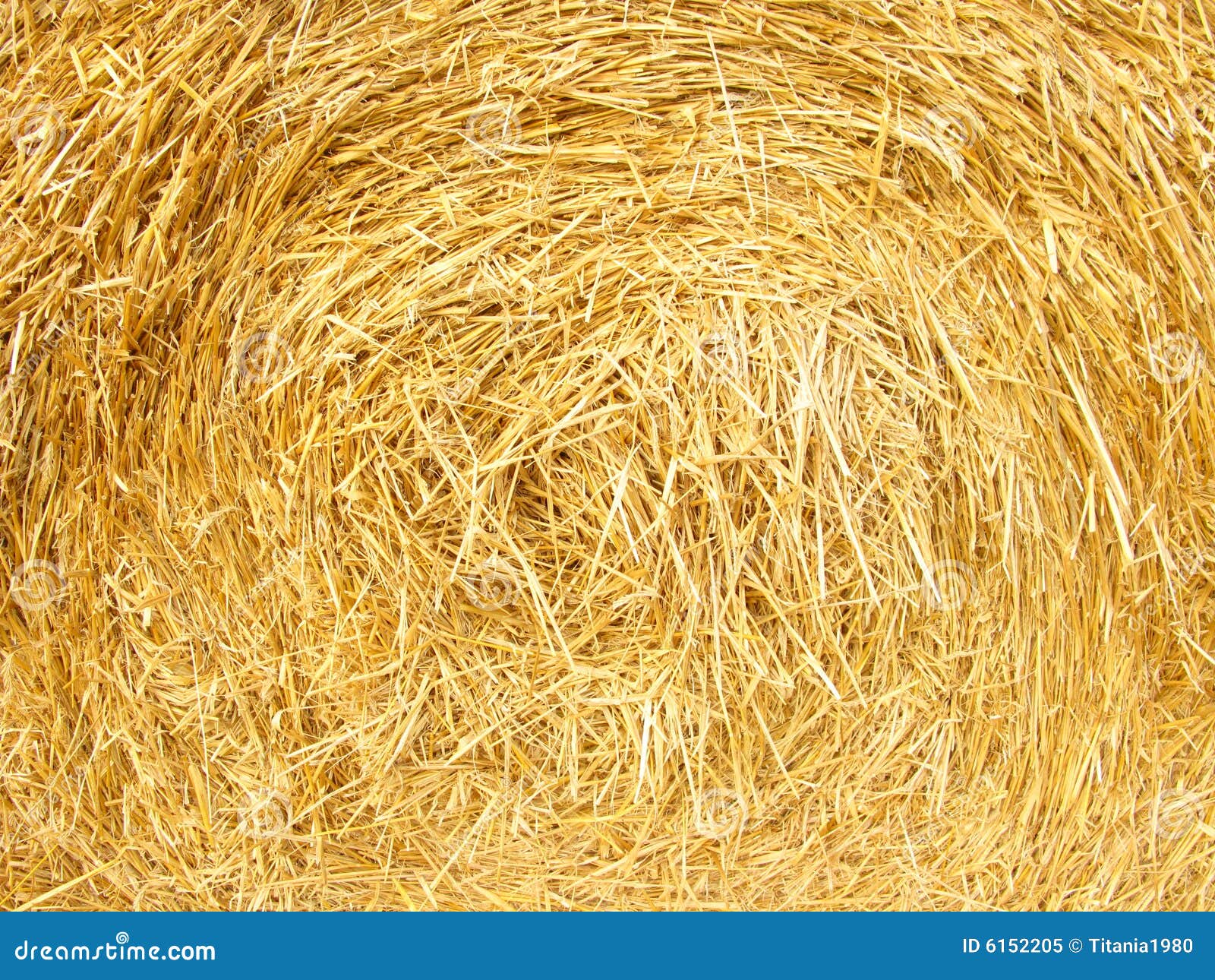 Straw Texture Royalty-Free Stock Photo | CartoonDealer.com #6152205