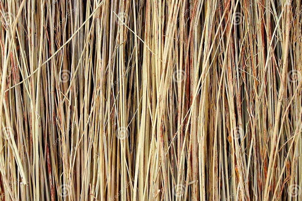 Straw Texture stock photo. Image of besom, rough, handicraft - 821178