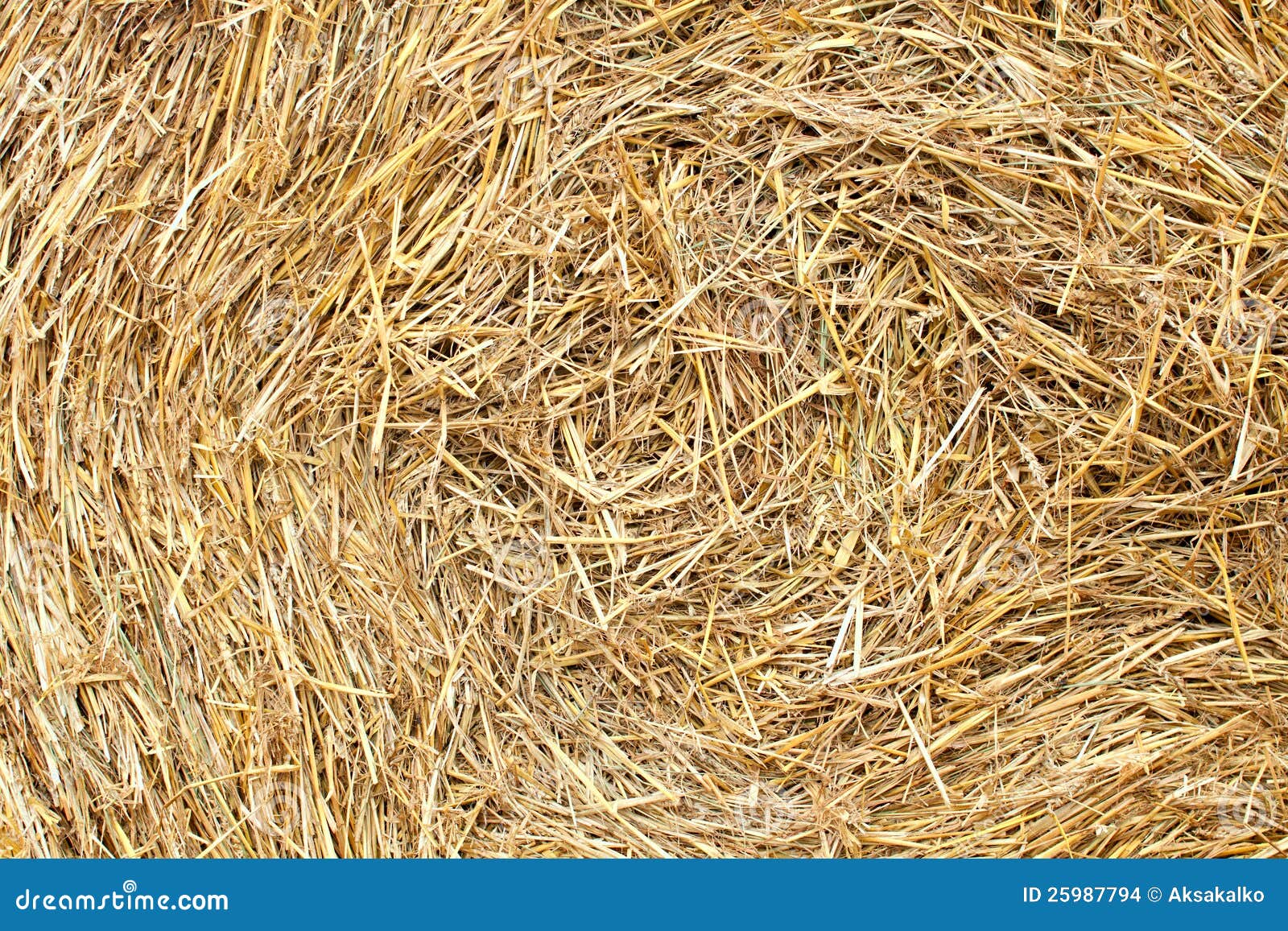 Straw texture background stock photo. Image of agriculture - 25987794