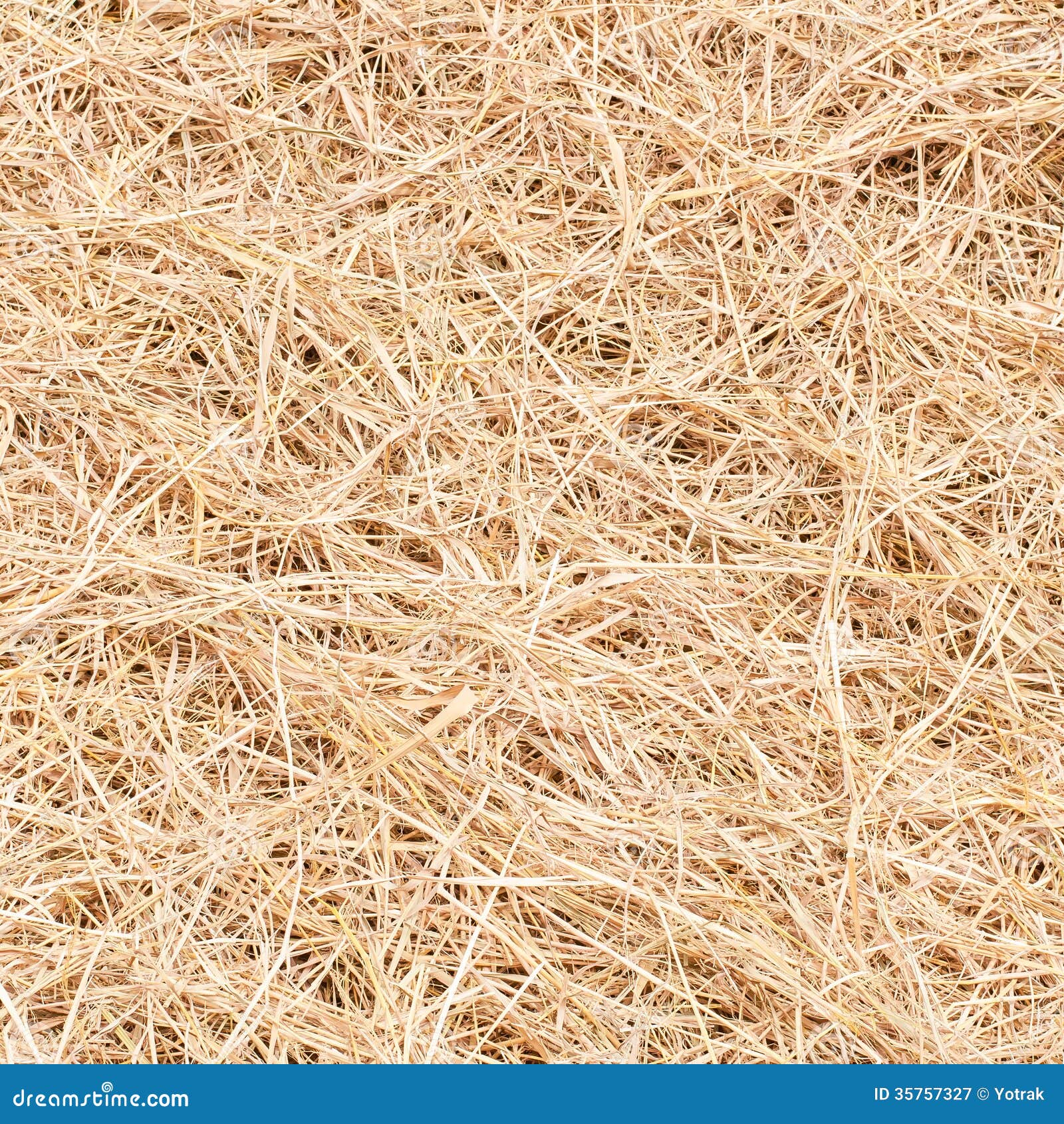 Straw texture stock image. Image of natural, industry - 35757327