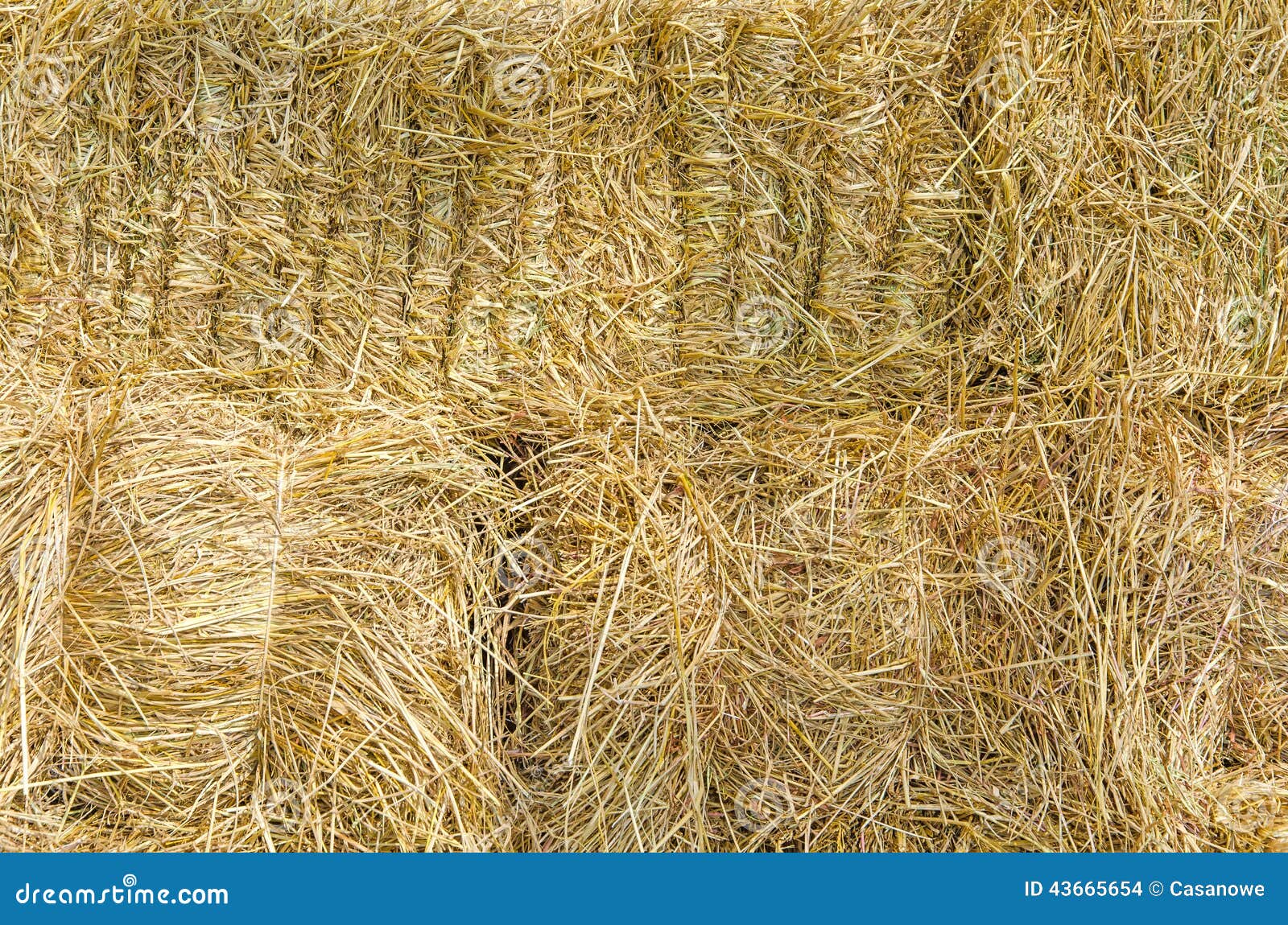 Straw Texture for Background Stock Photo - Image of color, closeup ...
