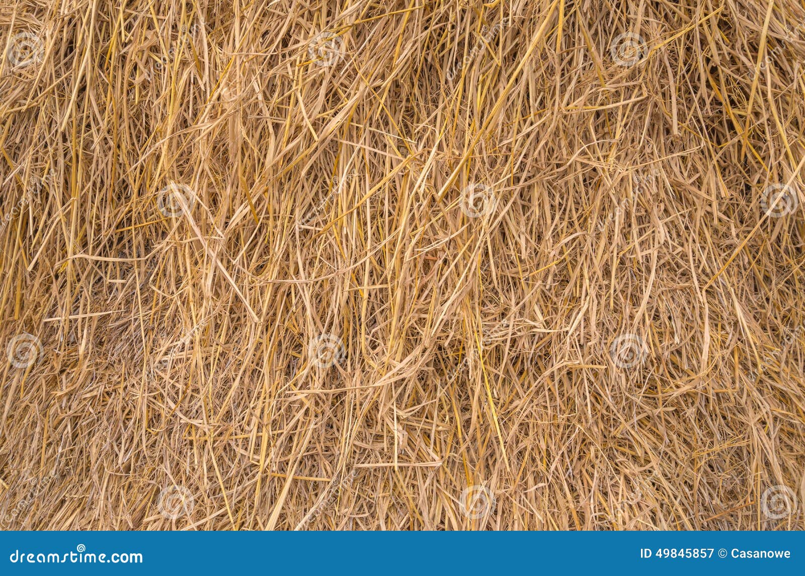Straw Texture for Background Stock Image - Image of industry, abstract ...
