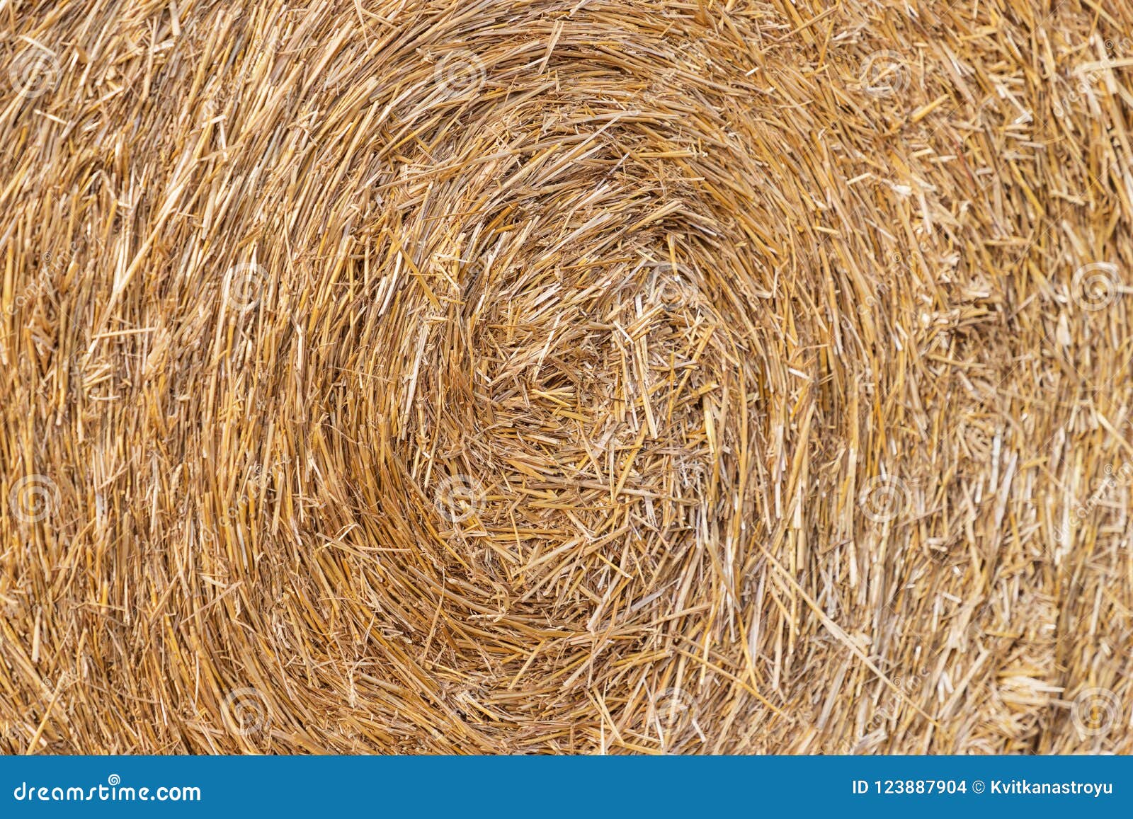 Straw Texture for the Background. Close-up. Abstract Natural Pattern ...