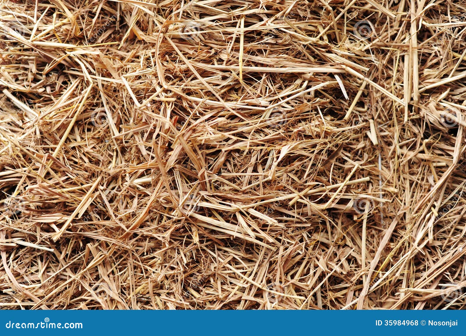 Straw texture background stock photo. Image of home, handmade - 35984968