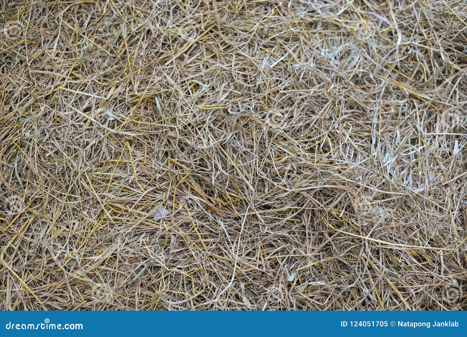 Straw texture background stock image. Image of design - 124051705