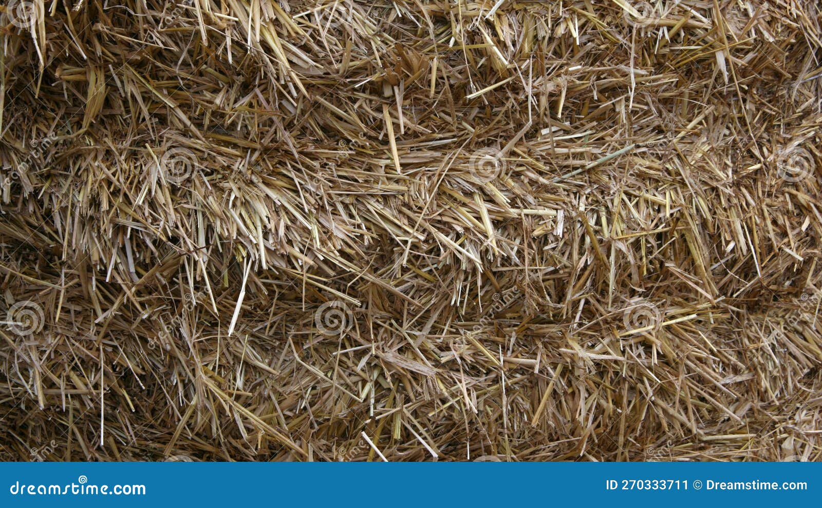 Straw texture background stock image. Image of design - 270333711