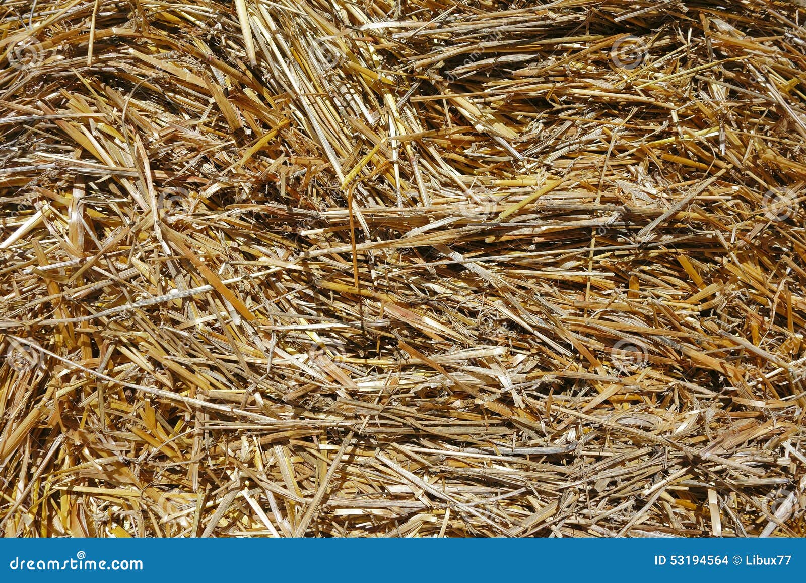 Straw Texture Background stock photo. Image of gold, backdrop - 53194564