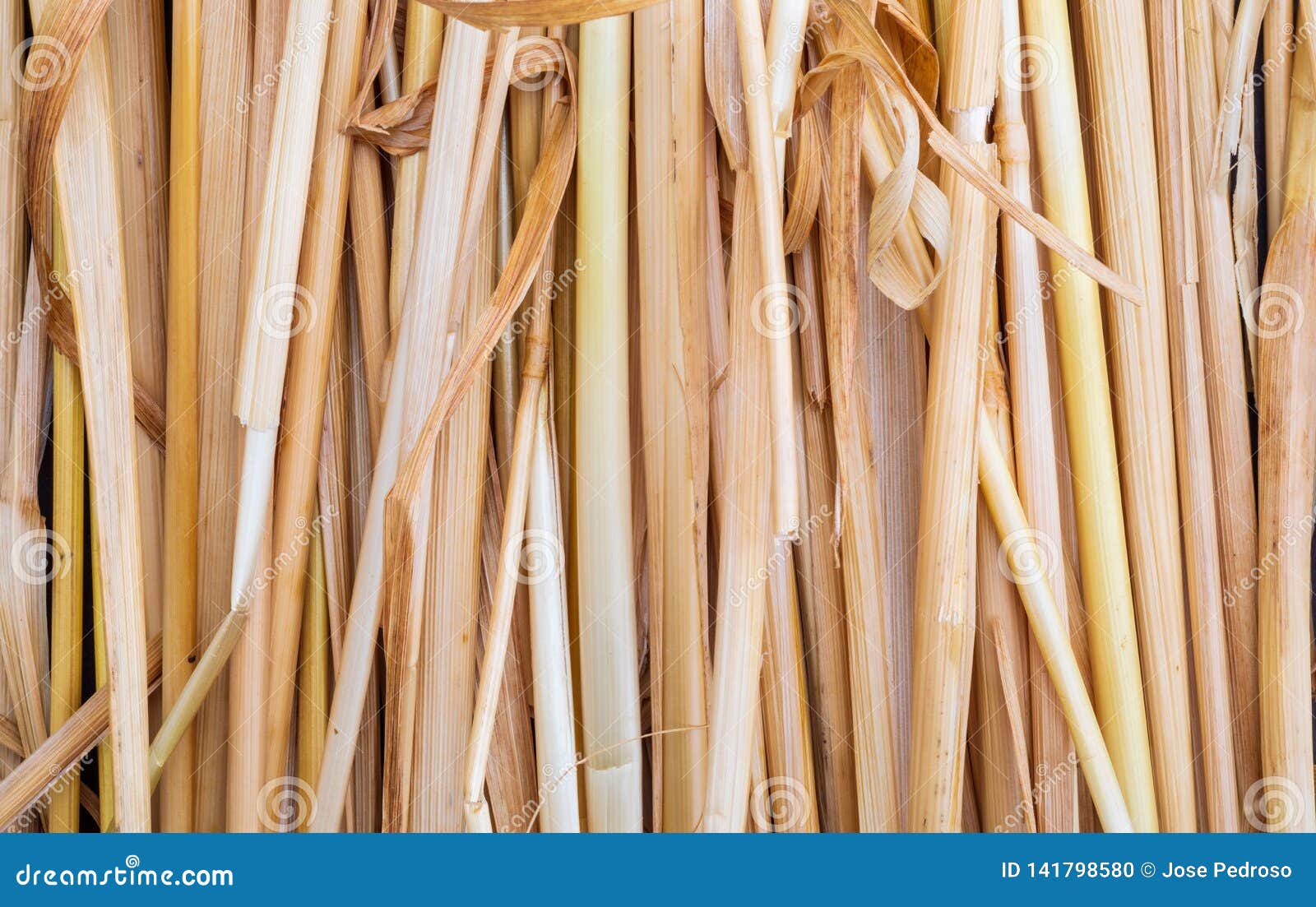 Straw Texture Collection of Vegetable and Natural Fibers. Stock Photo ...