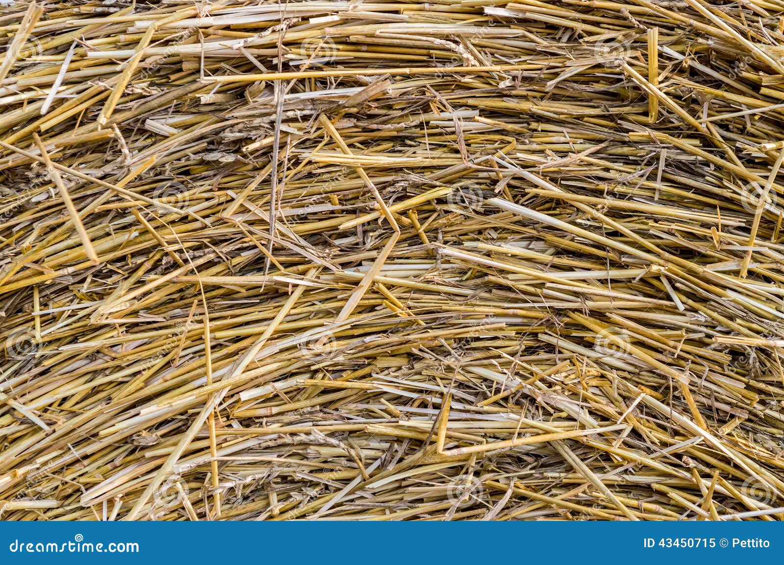 Straw texture stock image. Image of macro, halm, autumn - 43450715