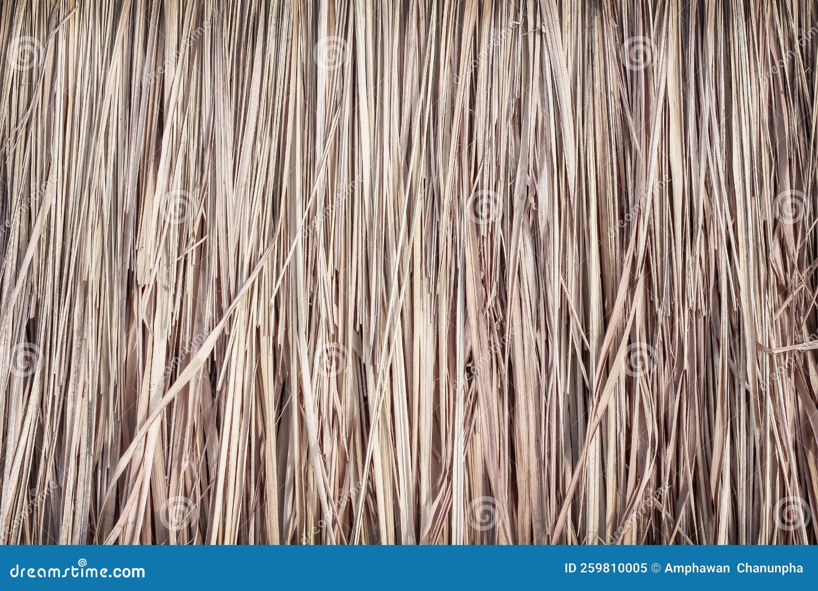 Straw Texture Natural Patterns Light Brown Background Stock Image ...