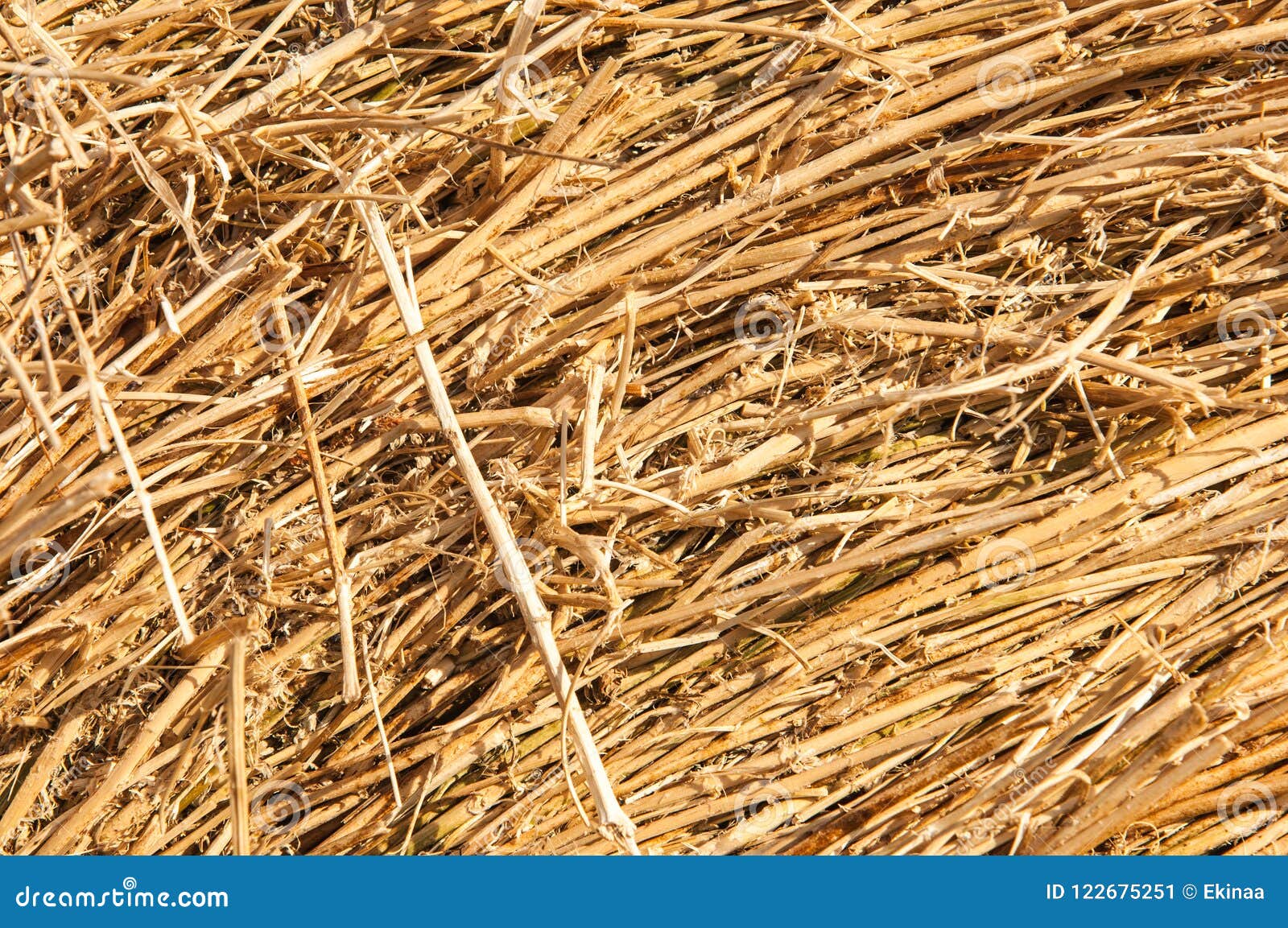Straw texture stock image. Image of crop, bale, autumn - 122675251