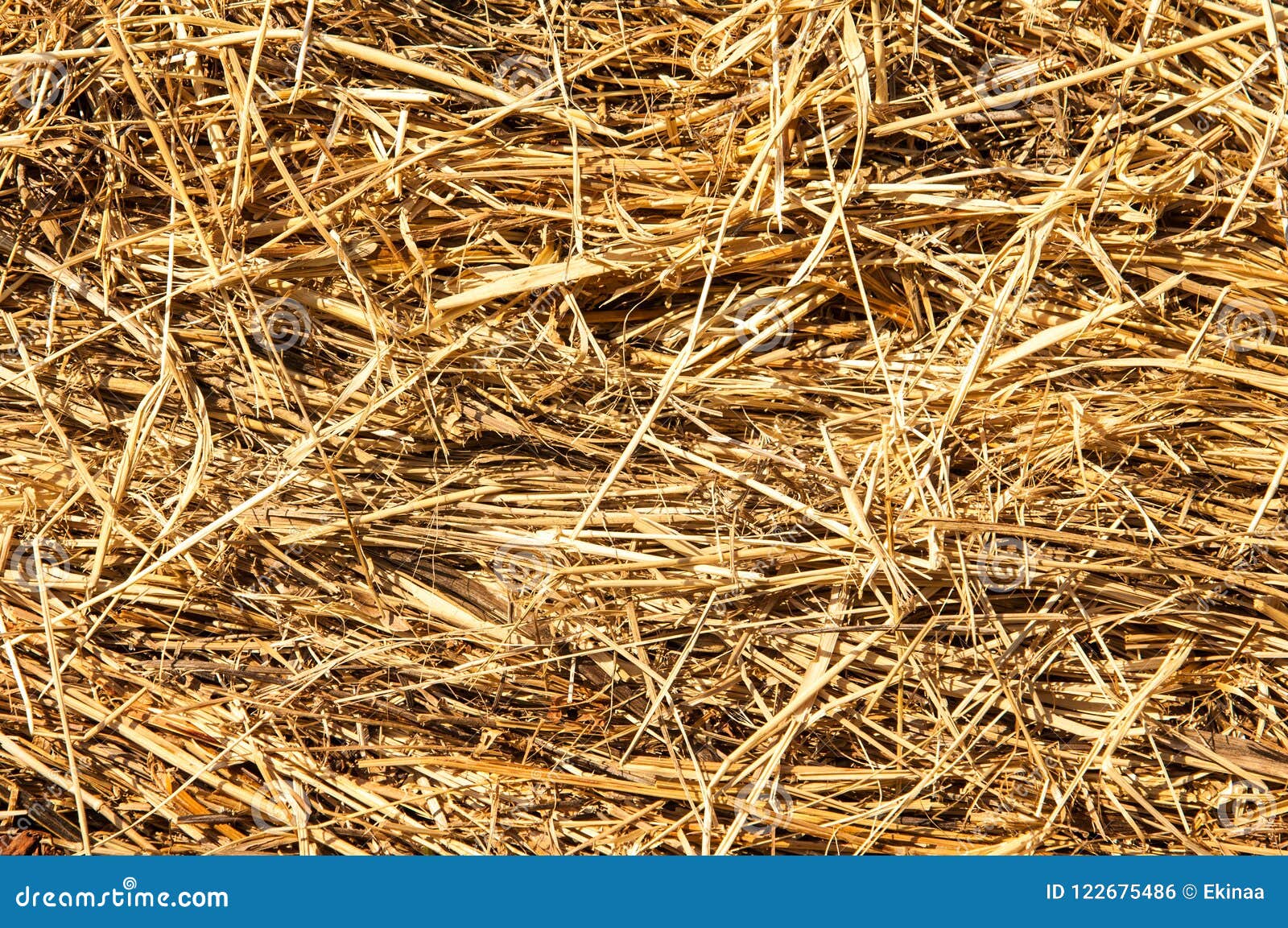 Straw Texture Stock Photography | CartoonDealer.com #122675486