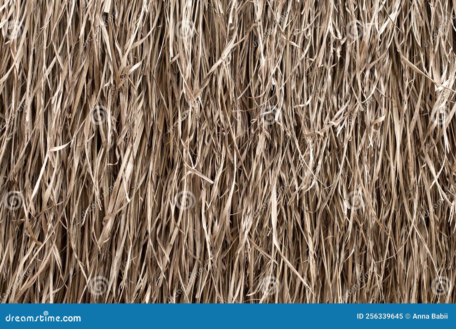 Straw Texture. Tropic Roof Summer Background. Stock Image - Image of ...