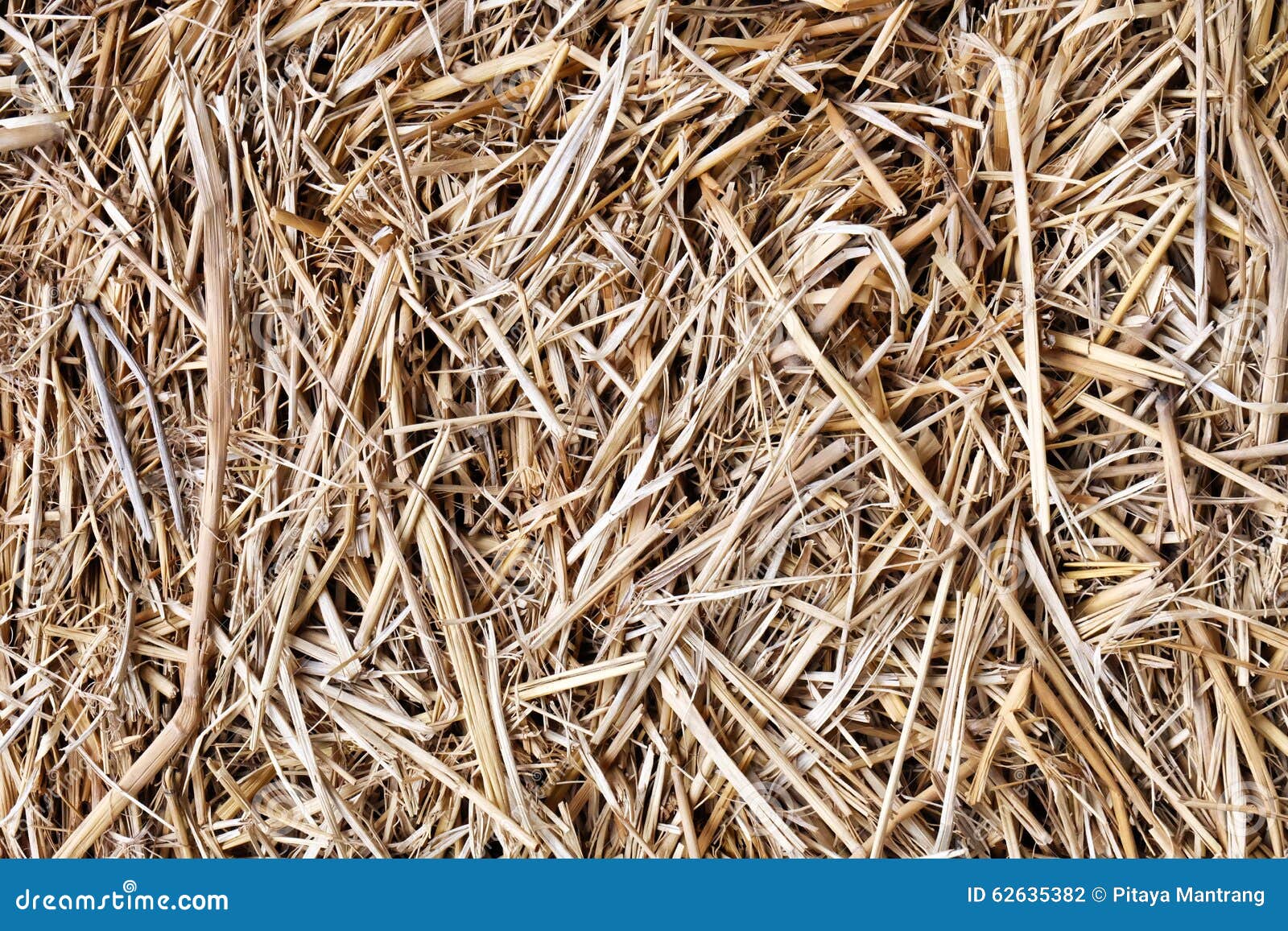 Straw Texture, Useful for Backgrounds Stock Photo - Image of close ...
