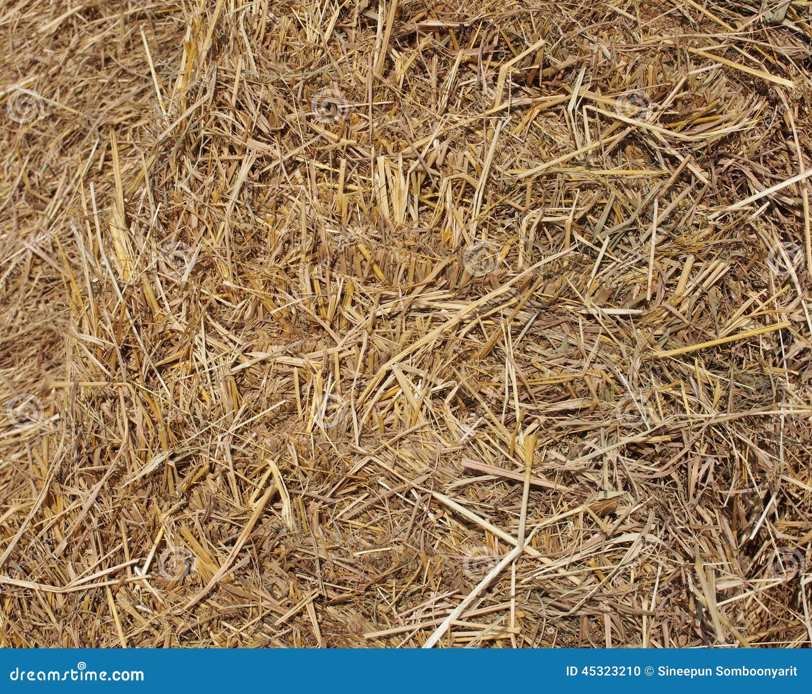 Straw texture stock photo. Image of food, farm, background - 45323210