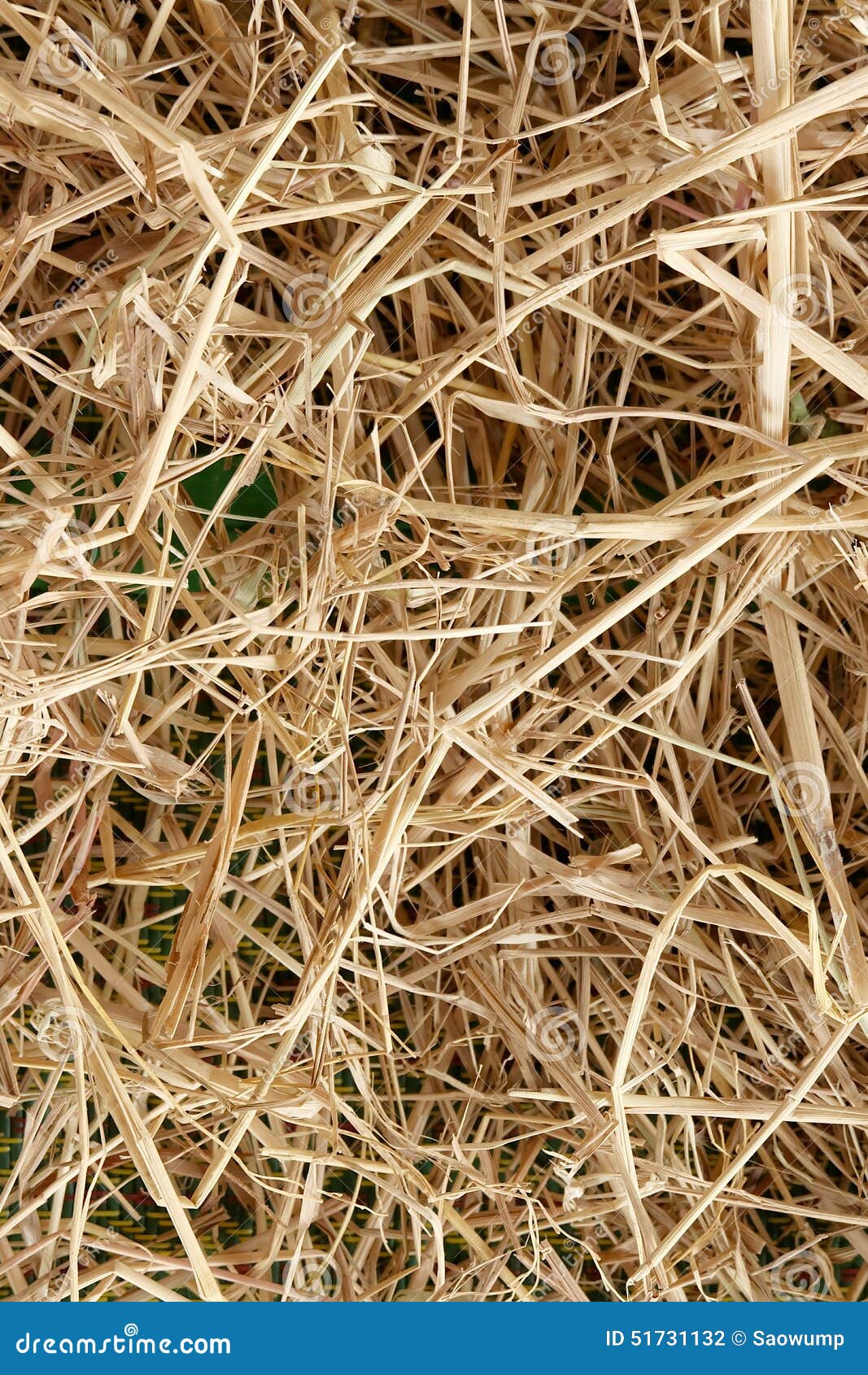 Straw thatch brown texture stock photo. Image of background - 51731132