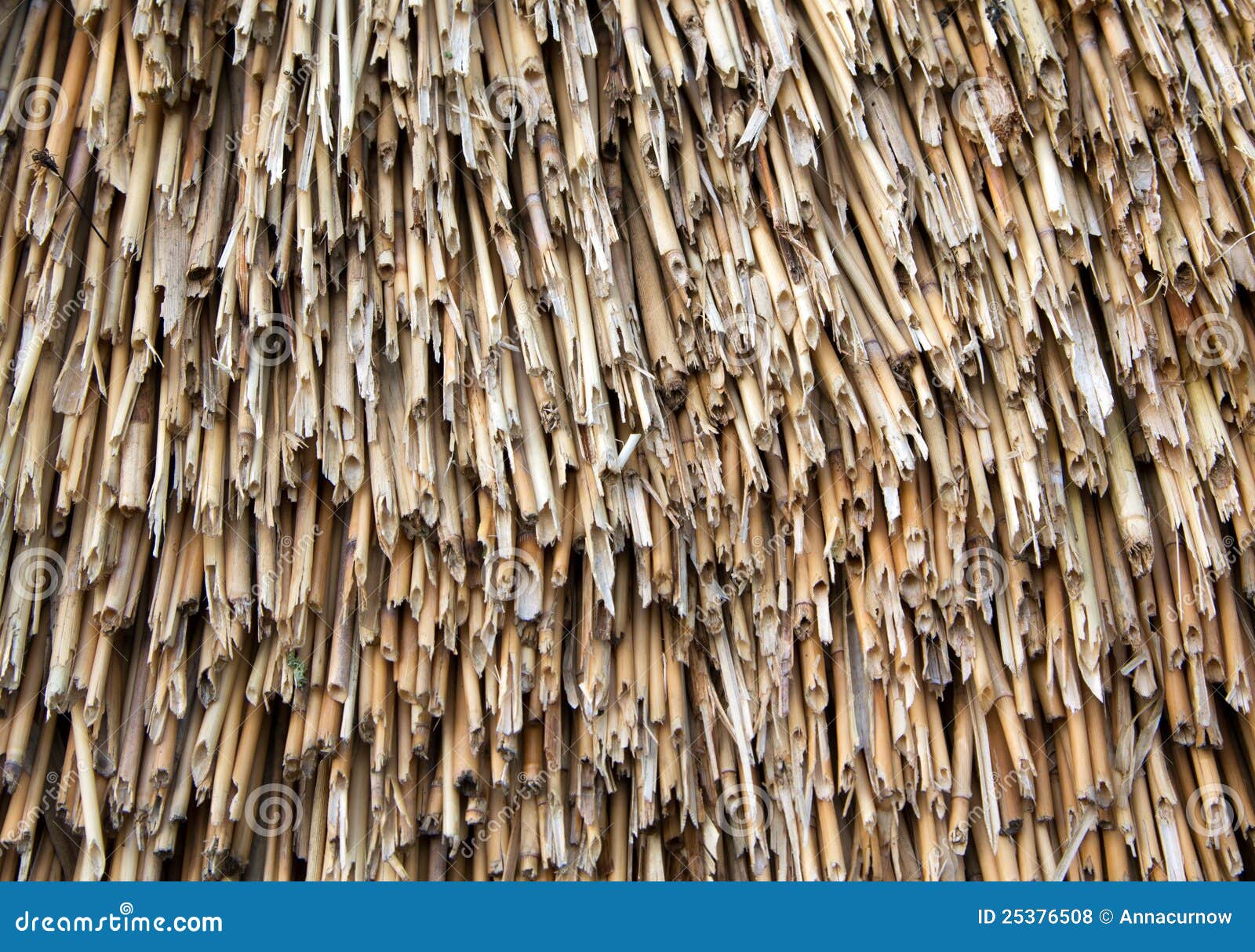 Straw thatch on a roof stock photo. Image of texture - 25376508
