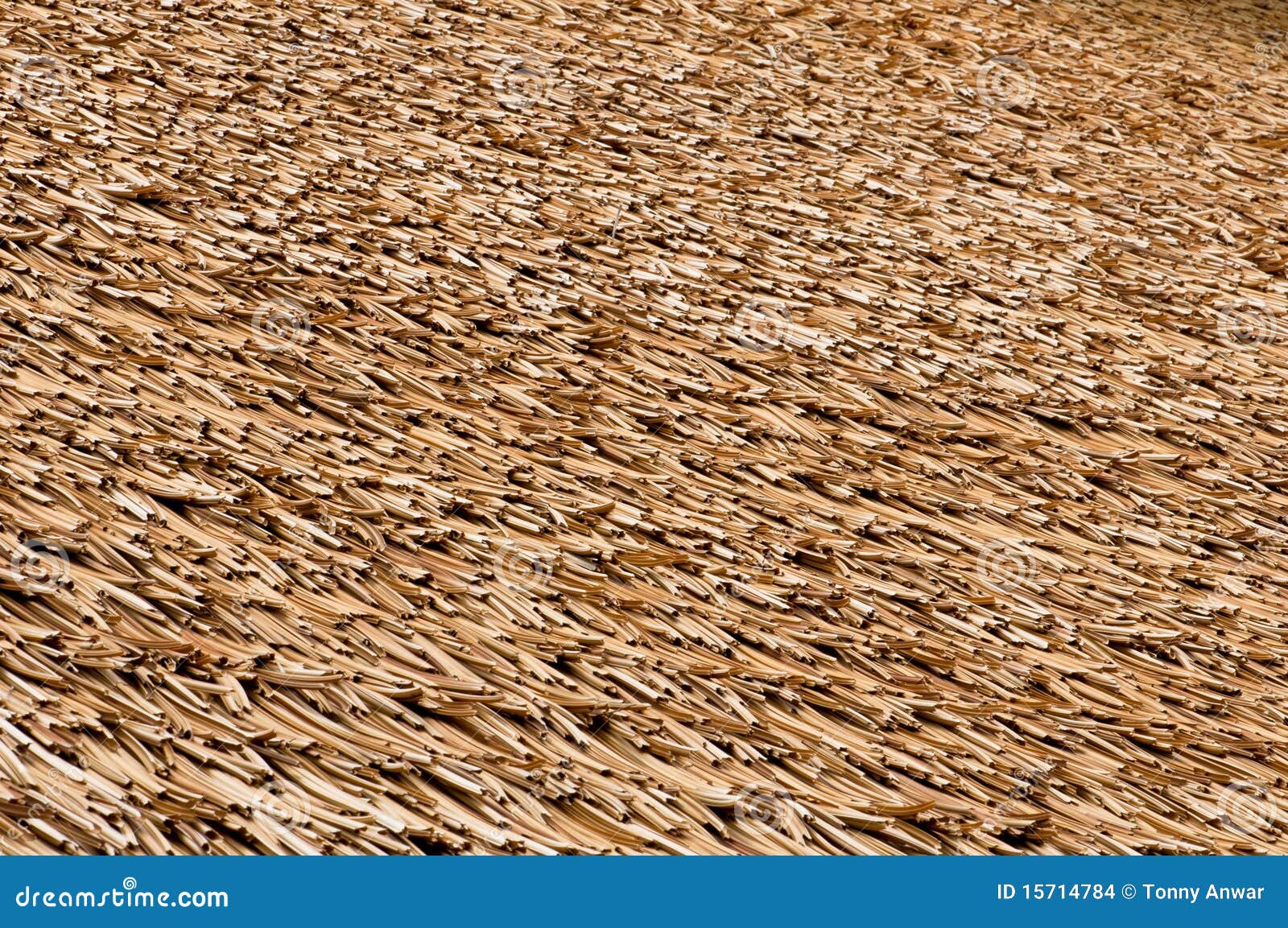 Straw Thatched Roof stock photo. Image of pattern, sunshade - 15714784