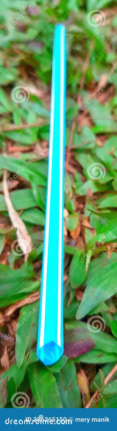 Straw trash on the grass stock photo. Image of green - 286265150