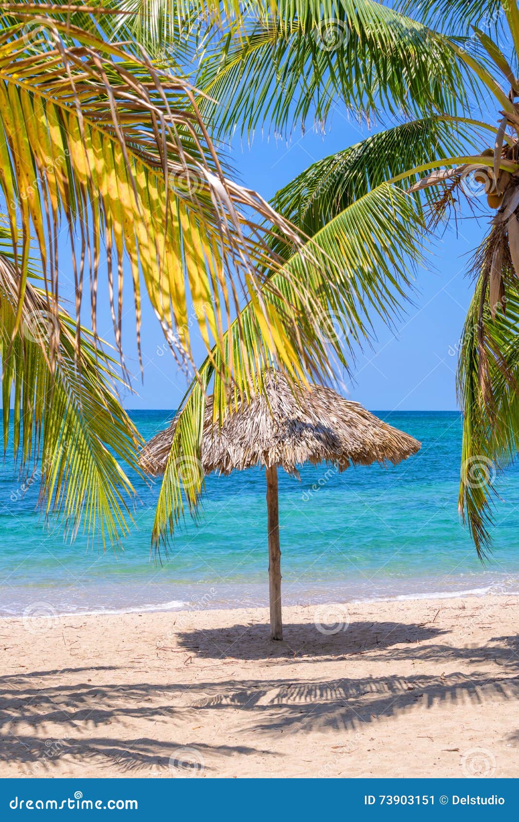 Straw Umbrella and Palm Tree on a Beautiful Tropical Beach Stock Image ...