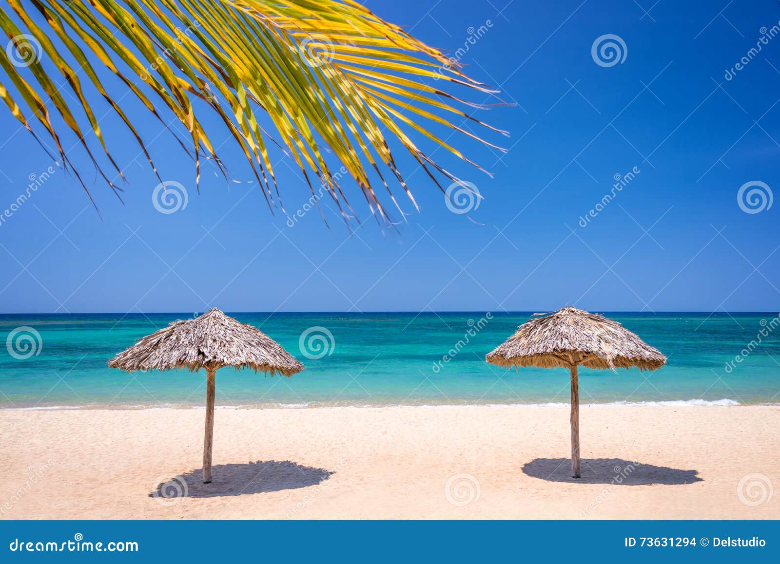 Straw Umbrella and Palm Tree on a Tropical Beach Stock Photo - Image of ...