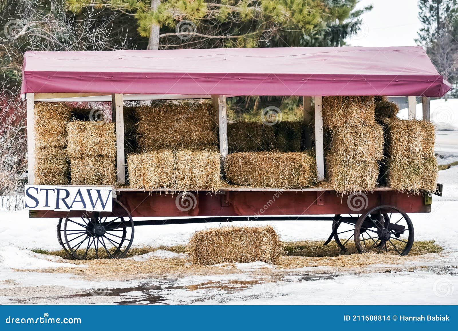 Straw Wagon with Bales of Hay Stock Photo - Image of winter, bales ...