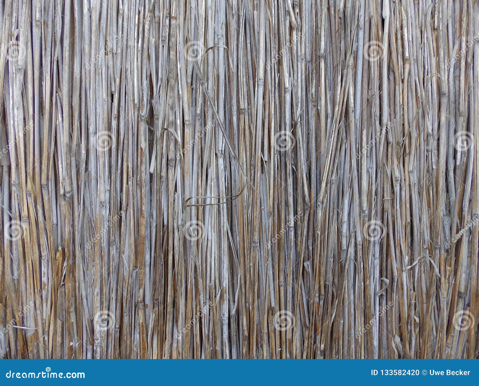 Straw Wall As a Texture and Background 2 Stock Photo - Image of texture ...