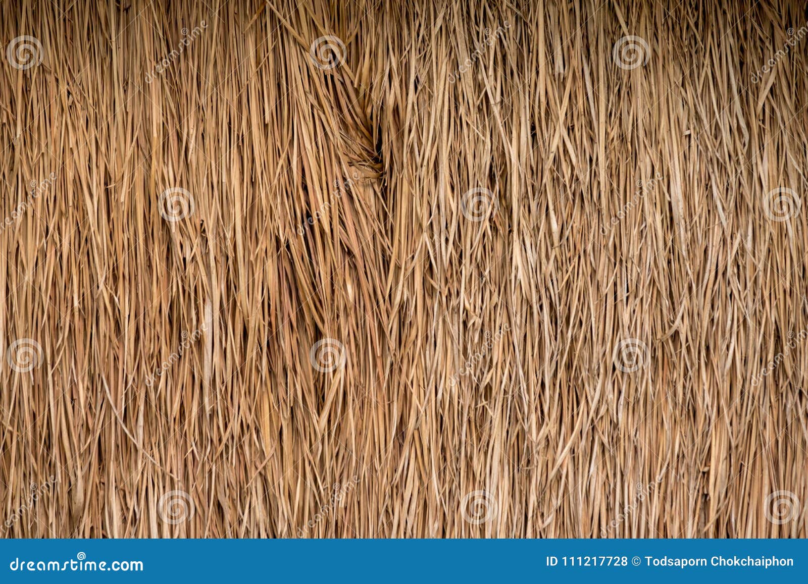 Straw Wall stock photo. Image of plant, straw, natural - 111217728