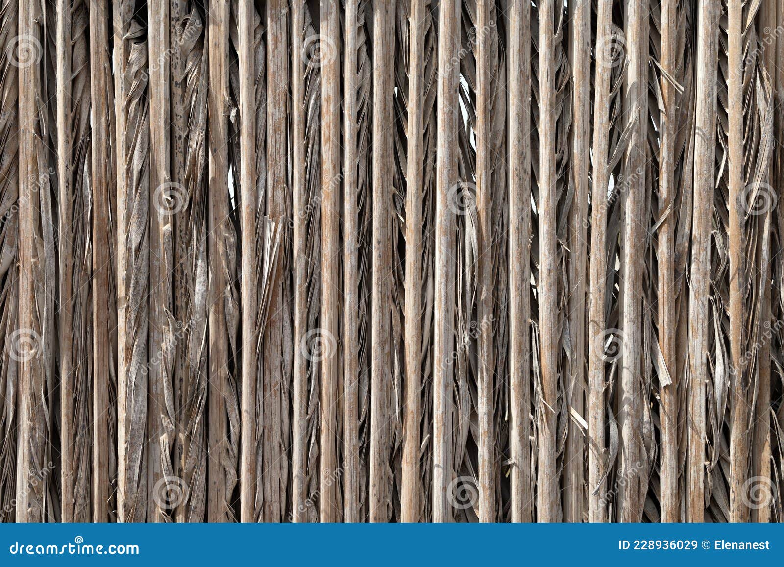 Straw Wall for Textured Background Stock Image - Image of textured ...
