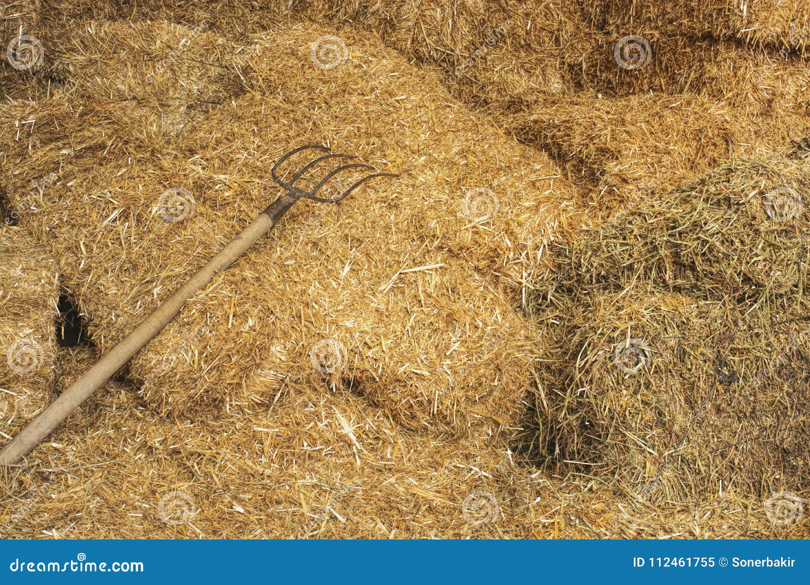 Straw Warehouse on Farm Village.Straw Background. Stock Image - Image ...