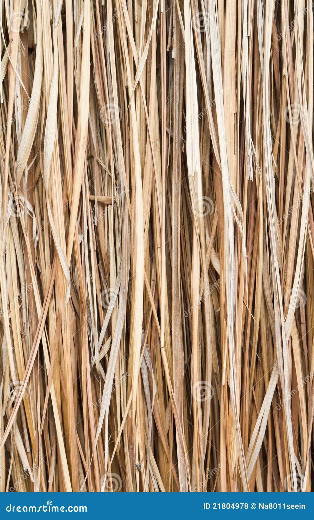 Straw that Was Built is a Wall. Stock Photo - Image of fence, textured ...