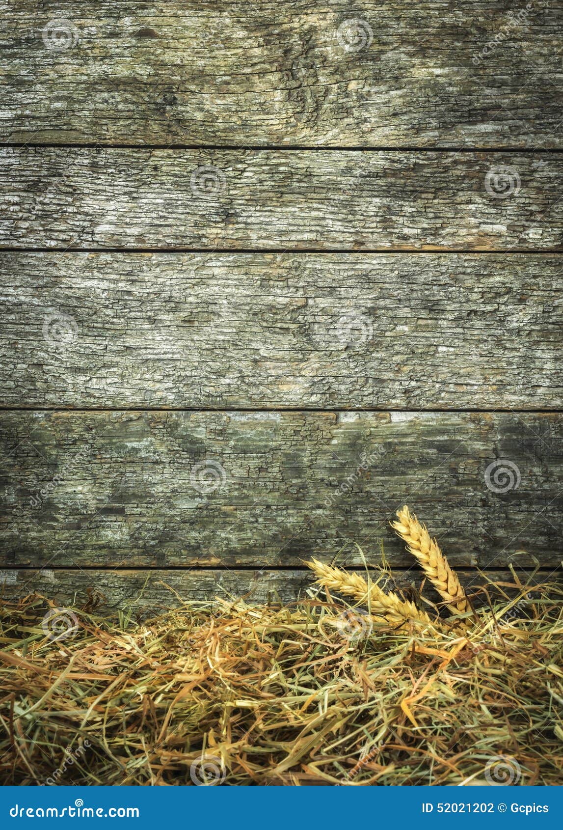 Straw and Wheat on a Rustic Wooden Background Stock Photo - Image of ...