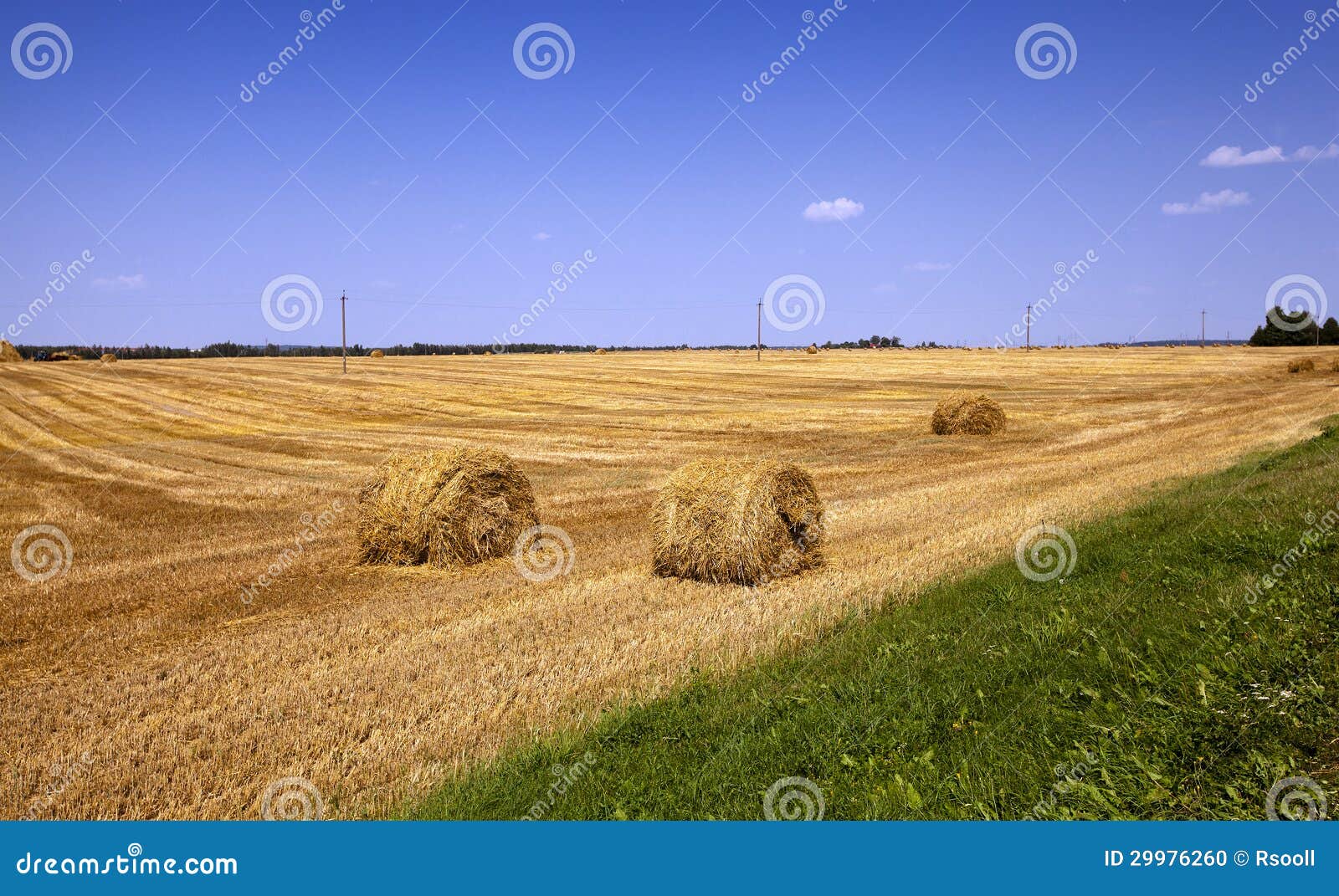 Straw stack stock photo. Image of grass, bale, countryside - 29976260